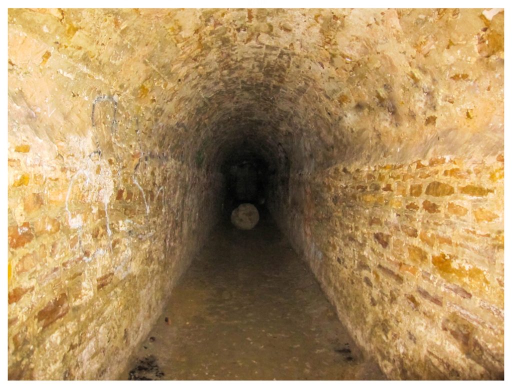 Arêtes de poisson - Un mystère sous les rues de Lyon